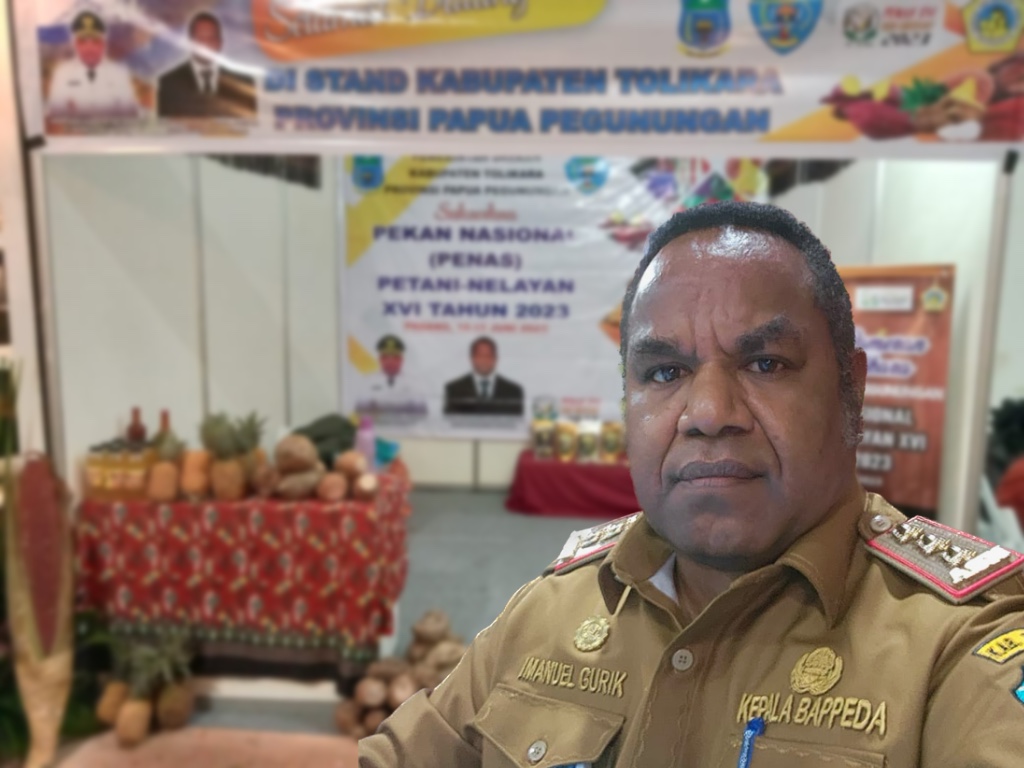 Pemerintah Daerah Kabupaten Tolikara Mendorong Potensi Ekonomi Unggulan ...